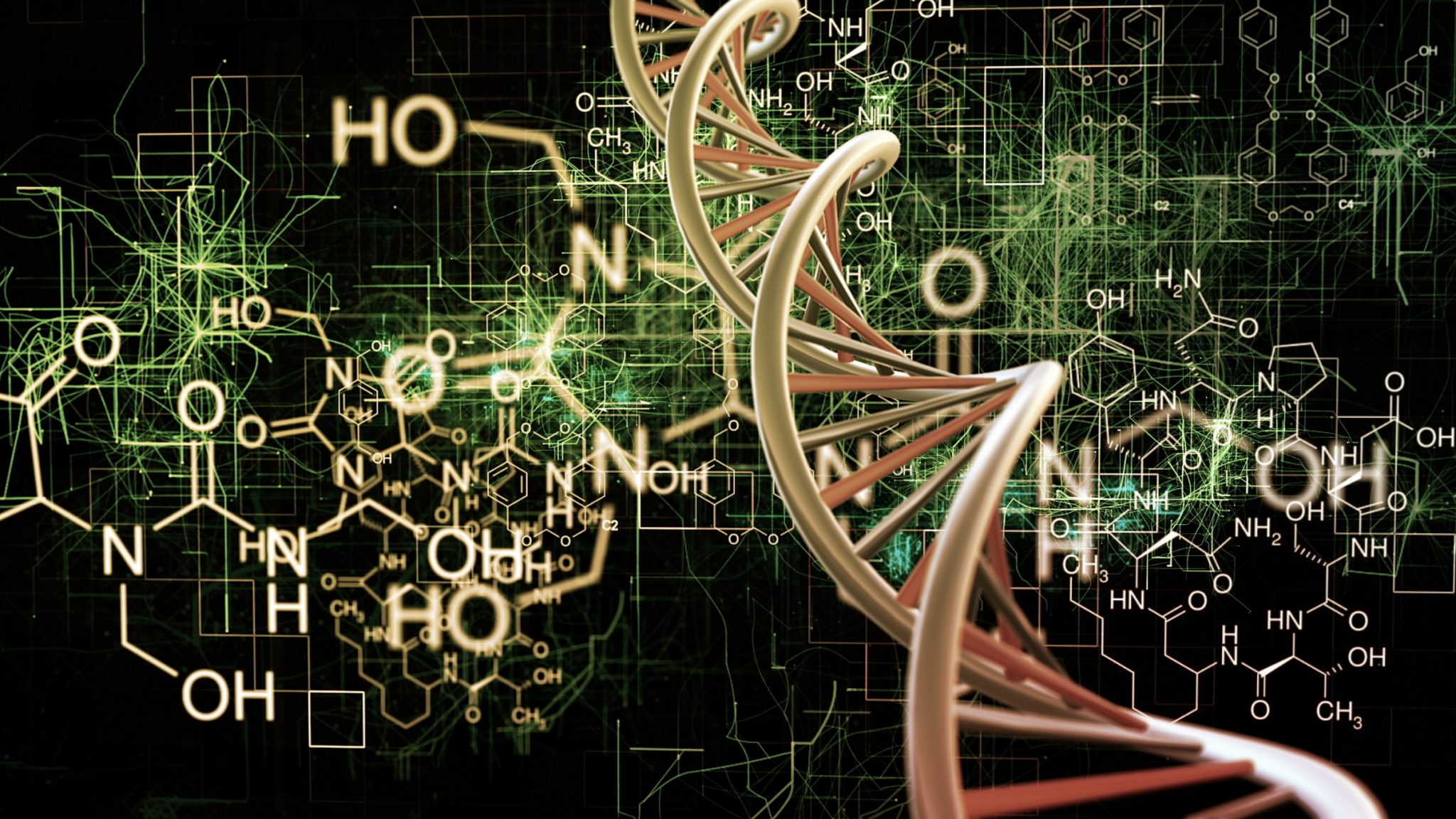 All in your head? Brain research funded by ME Research UK