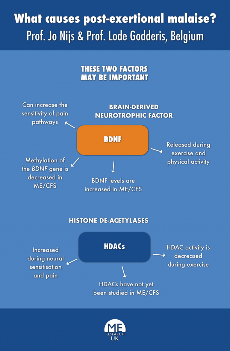 ME/CFS symptom research